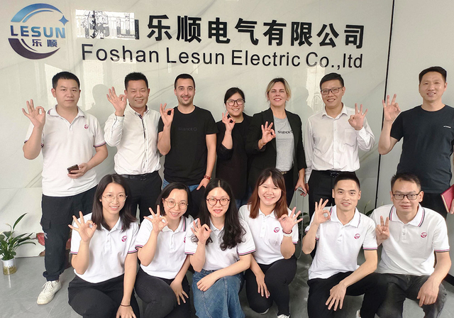 About Us - Foshan Lesun Electric Co., Ltd.
